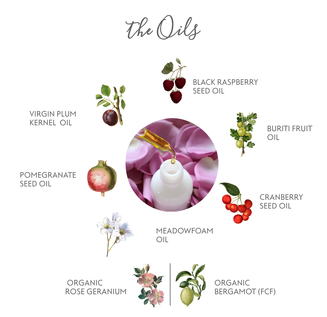 Graphics_Oil_Nouveau_THE_OILS_e17b9bbc-db65-44cc-98ae-00bfbbf4c330.png ...